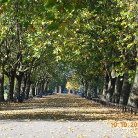 East Park - Wolverhampton - Upcoming Events & Tickets