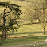 Fawsley Park - Daventry, Northampto - Upcoming Events & Tickets