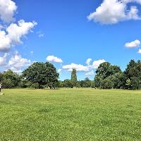 Tooting Bec Common - London - Upcoming Events & Tickets