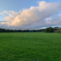 Northern Kin Festival Park - County Durham - Upcoming Events & Tickets